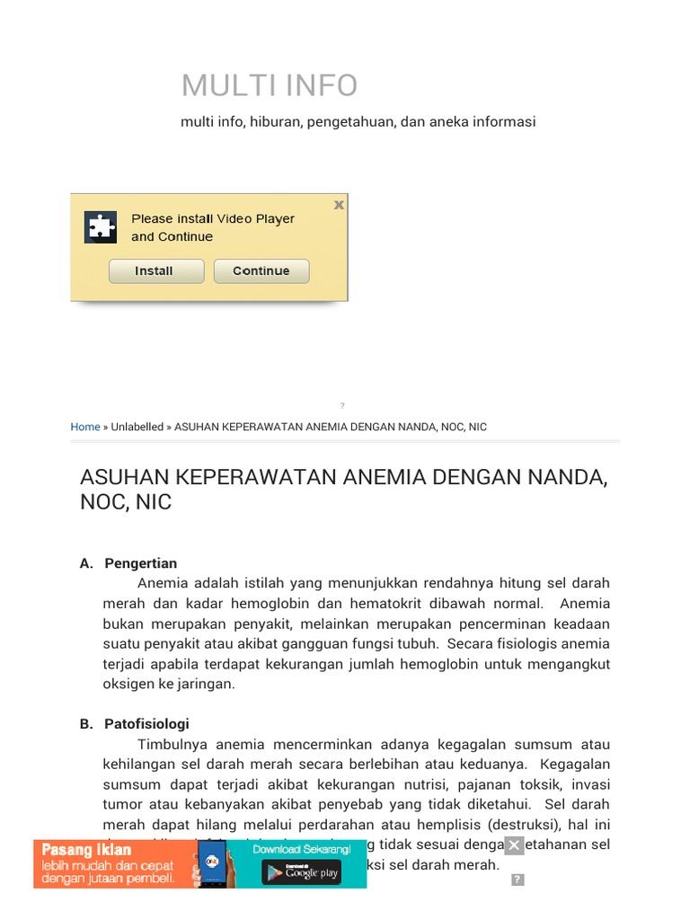 Asuhan Keperawatan Anemia Dengan Nanda, Noc, Nic Multi Info