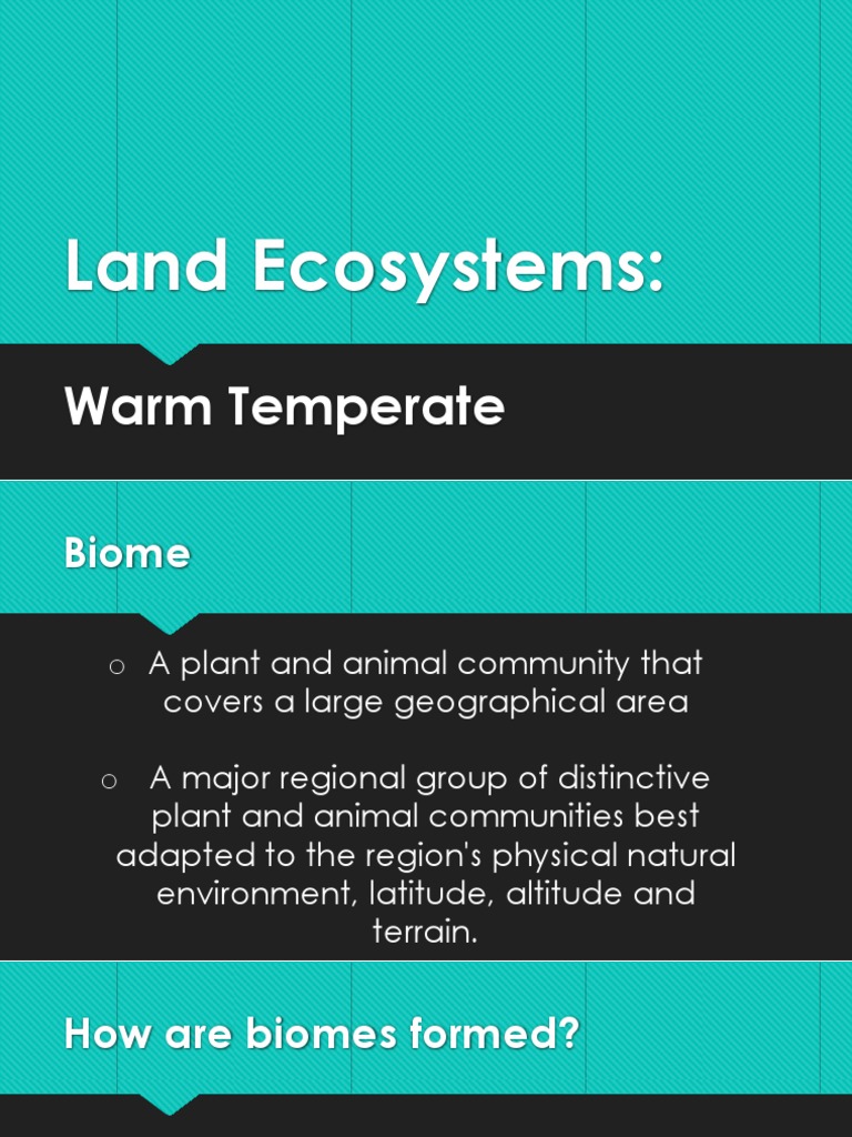 Warm Temperate Biome Overview | PDF | Home & Garden | Technology ...