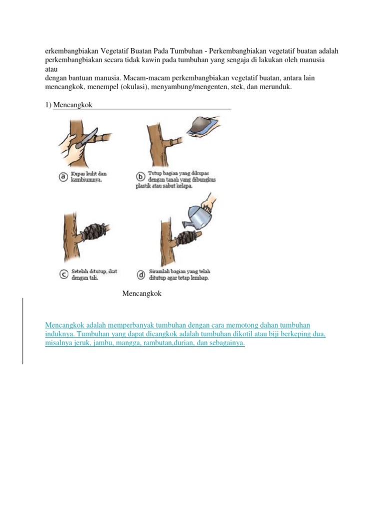 30+ Gambar Cara Merunduk Tanaman Terpopuler - Informasi Seputar Tanaman ...