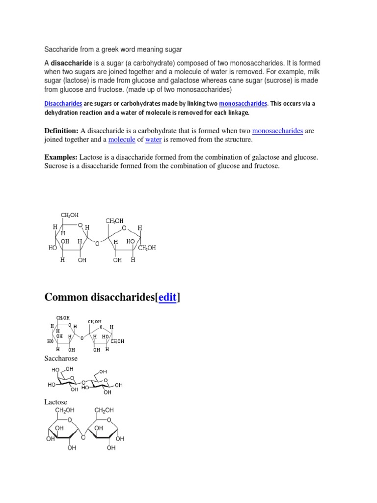 Common Disaccharides : Definition: A Disaccharide Is A Carbohydrate ...