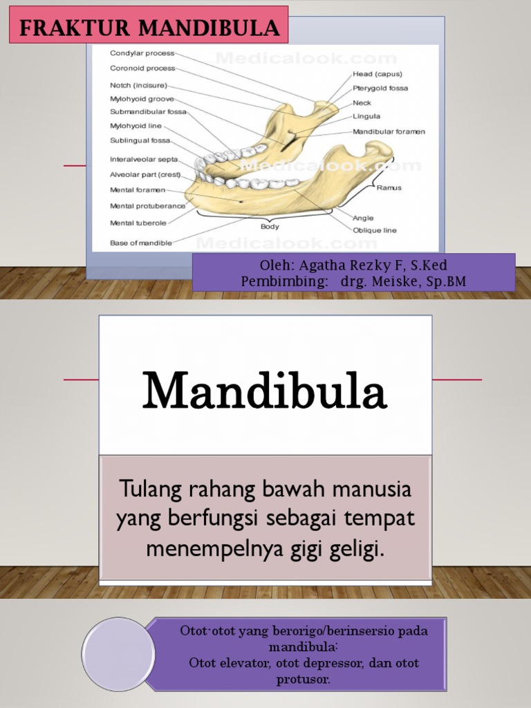 Fraktur Mandibula & Maksila | PDF