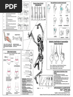 CPG Management of EVALI 20211007 | PDF | Pneumonia | Electronic Cigarette