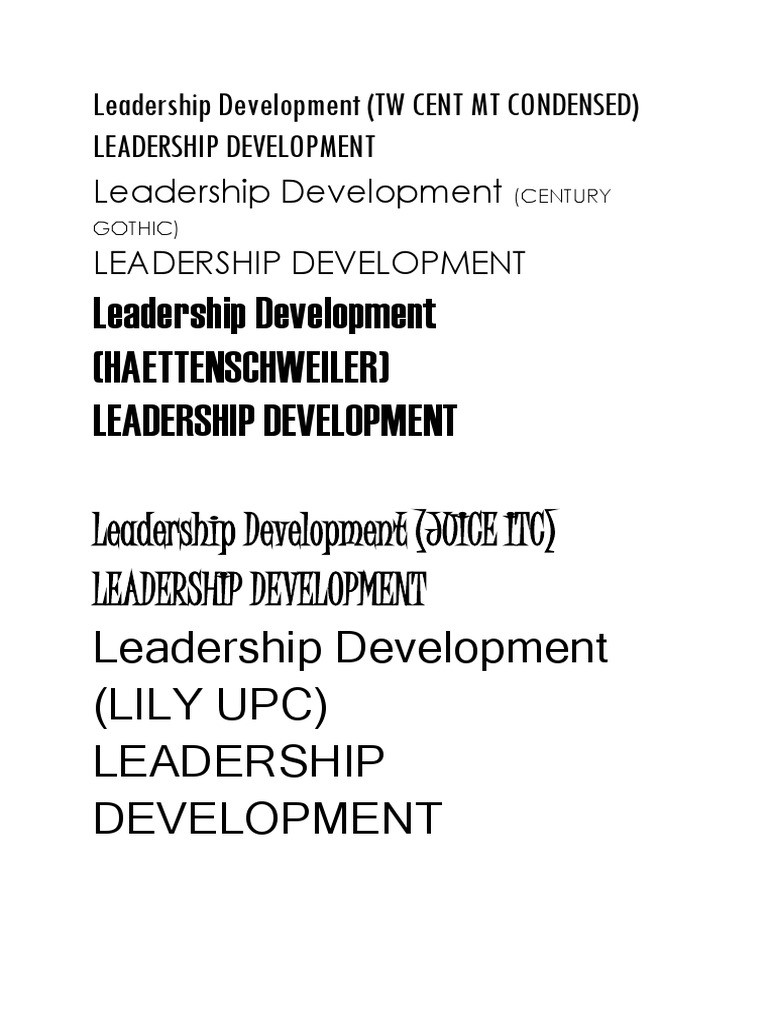 Leadership Development Font | PDF