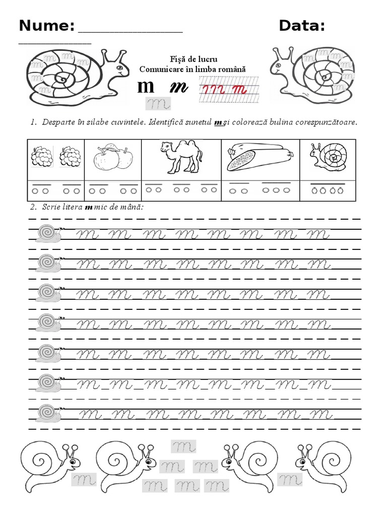 Fisa de Lucru m Mic de Mana