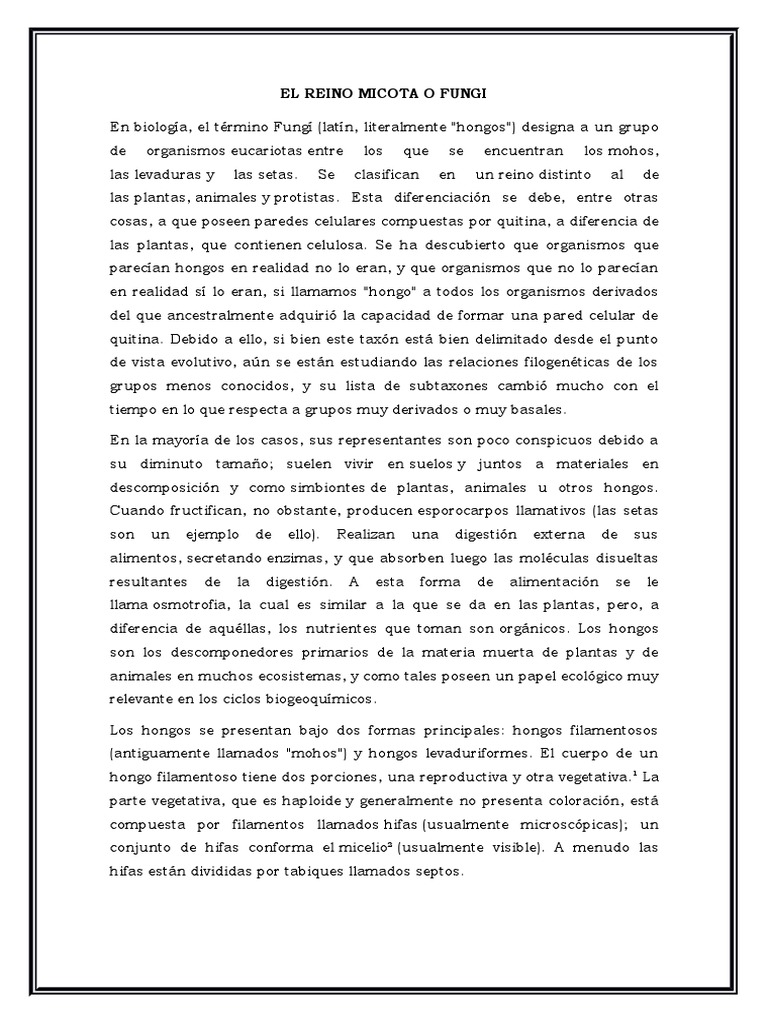 El Reino Micota o Fungi | PDF | Hongo | Espora