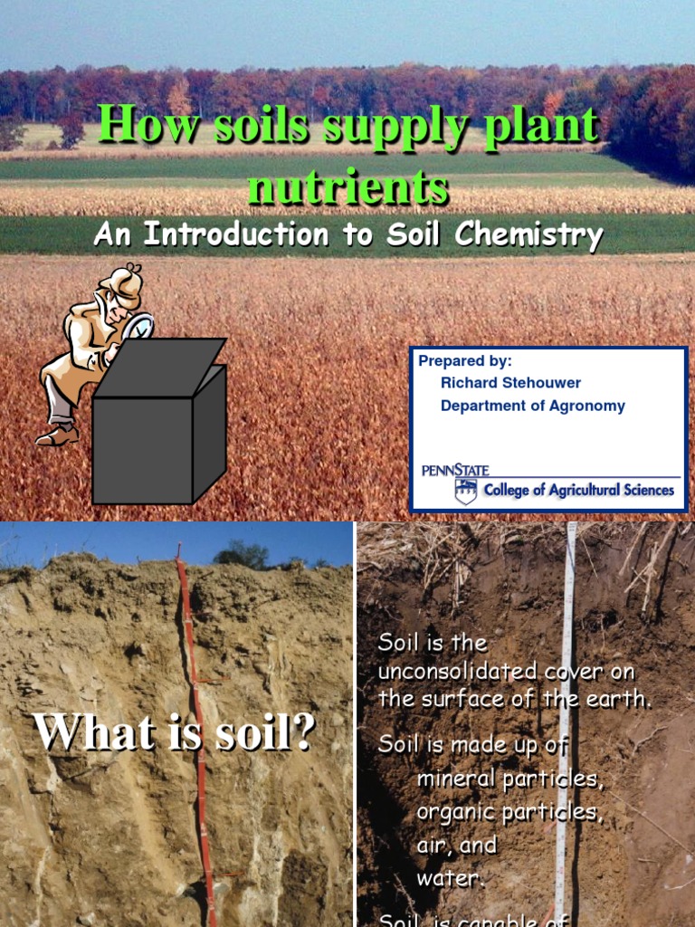How Soils Supply Plant Nutrients: An Introduction To Soil Chemistry ...
