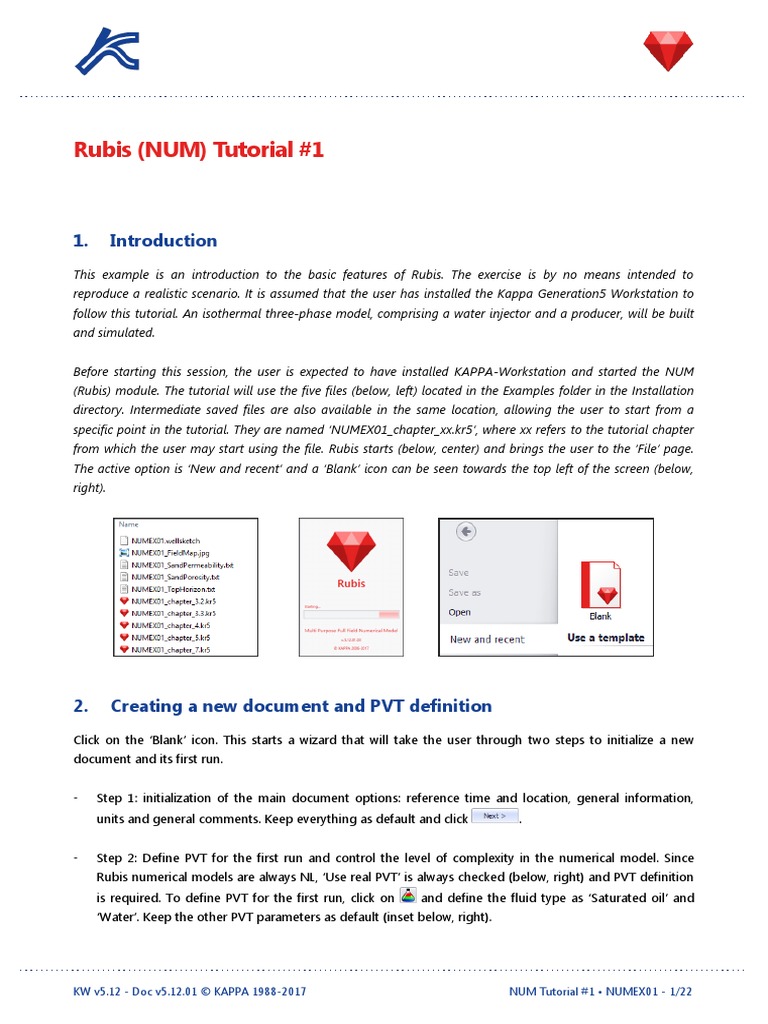 Tutorial Rubis | PDF | Petroleum Reservoir | Computer Simulation