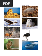 Animales Dosmesticos en Xinca | PDF | Cocina, comidas y vino