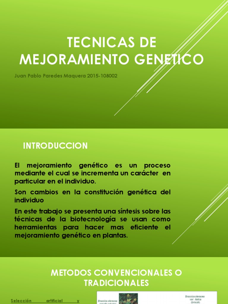 Tecnicas de Mejoramiento Genetico | Gene | Genetics Tecnicas de Mejoramiento Genetico | Gene | Genetics