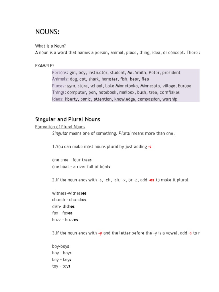 Regular and Irregular Nouns Explained | PDF | Plural | Noun