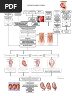Woc Placenta Previa | PDF