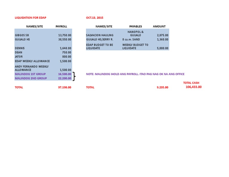 Liquidation For Edap Payables | PDF