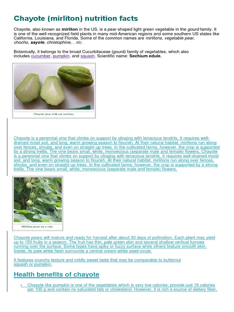 Chayo Te | PDF | Magnesium | Foods