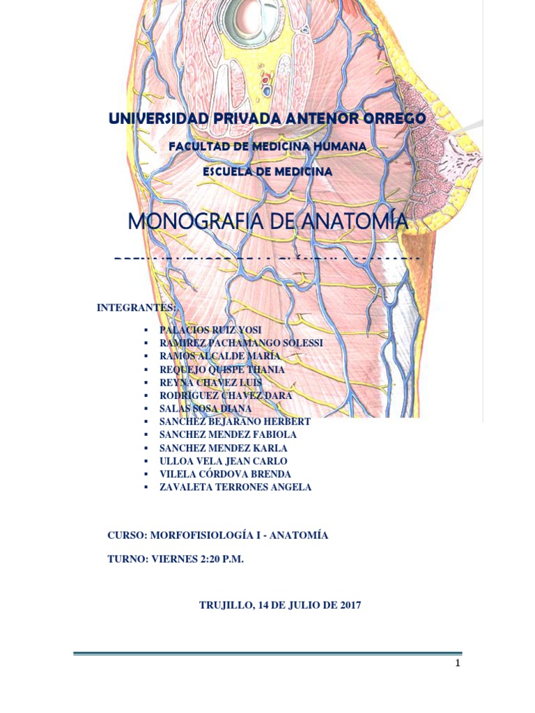 Monografia Anatomia | PDF | Pecho | Cáncer