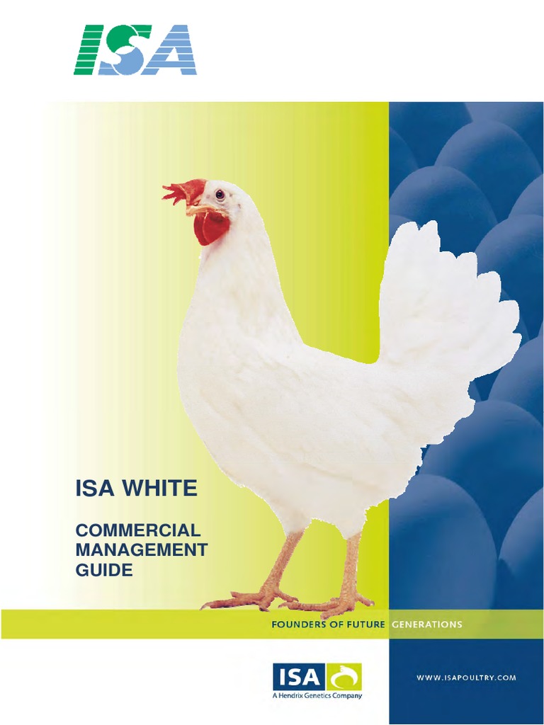 ISA White Layer Management Guide | PDF | Beak | Birds