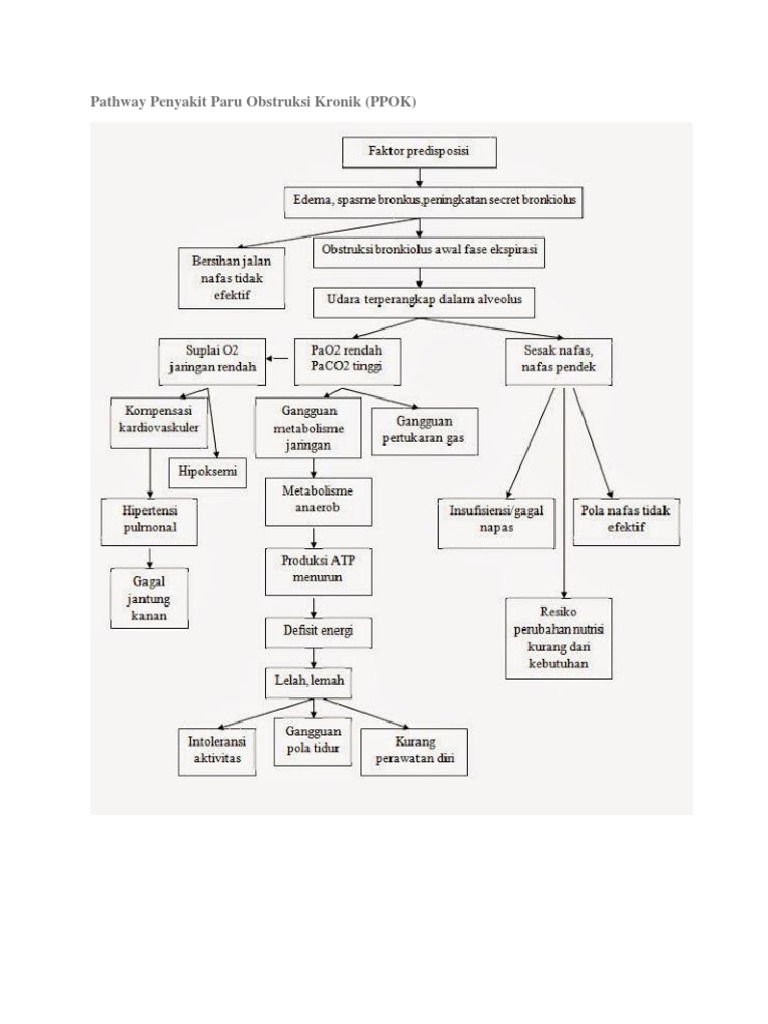Pathway Ppok | PDF