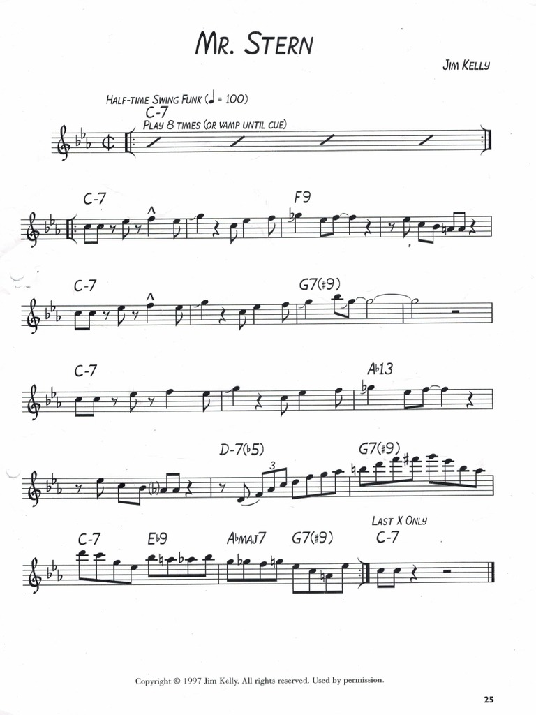 Mr. Stern.pdf