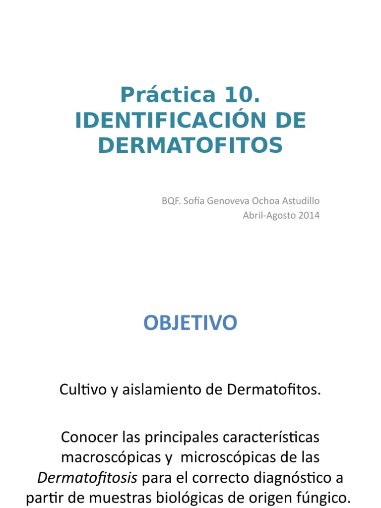 Morfología de Dermatofitos en Diagnóstico | PDF | Enfermedades animales ...