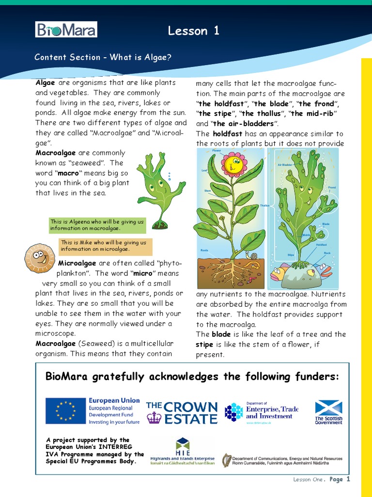 Lesson 1 - What is Algae | Seaweed | Algae | Free 30-day Trial | Scribd