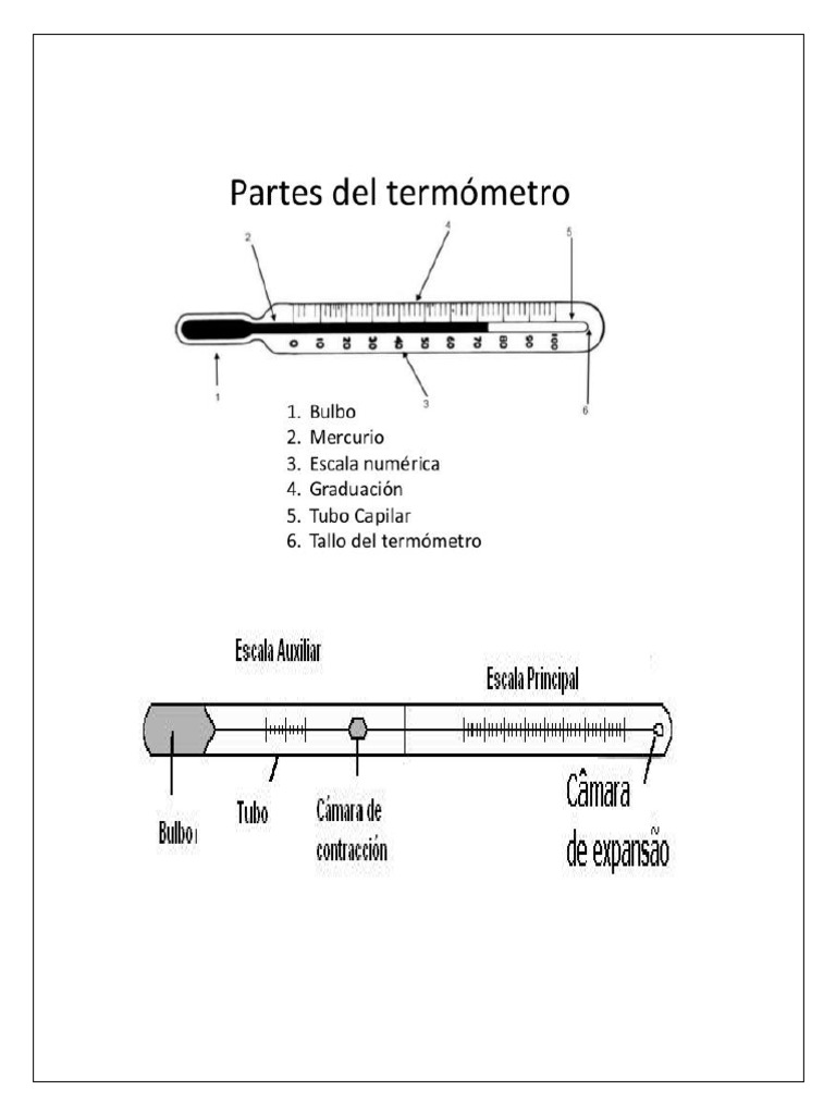 Partes Del Termometro | PDF