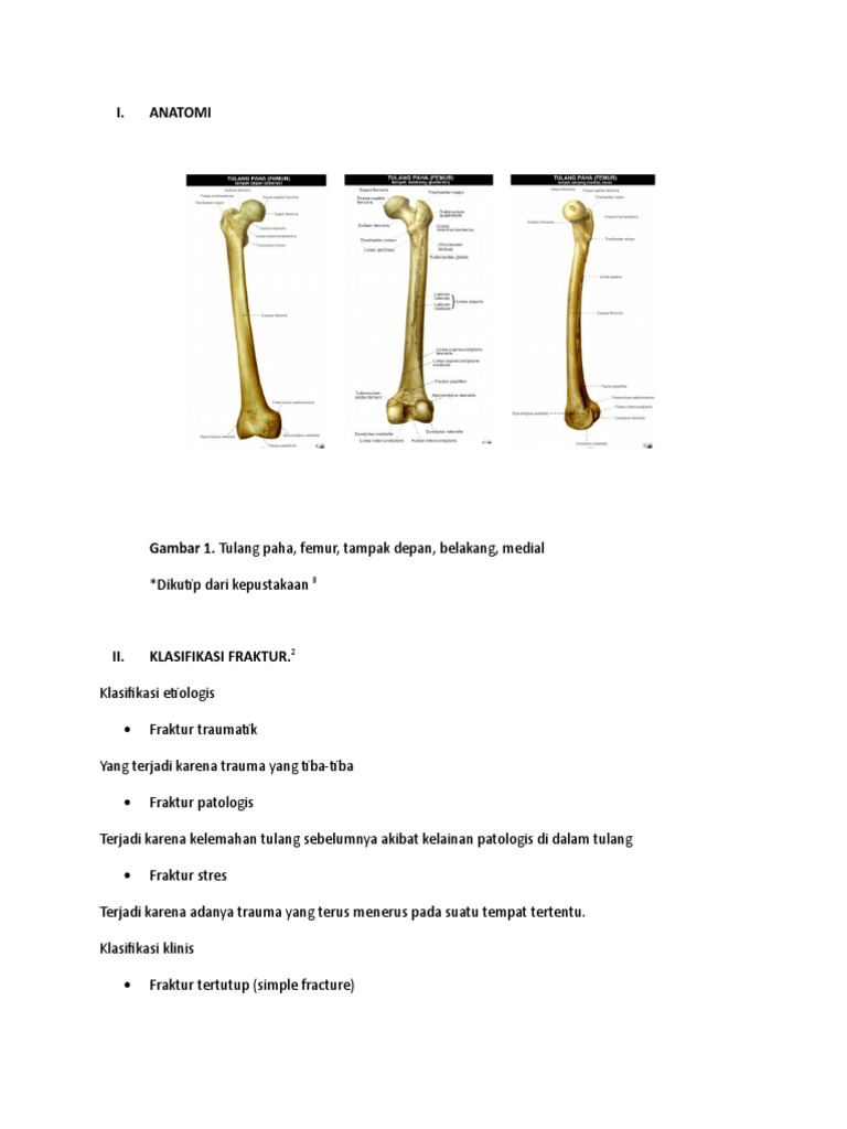 Klasifikasi Fraktur: Jenis dan Ciri-cirinya | PDF