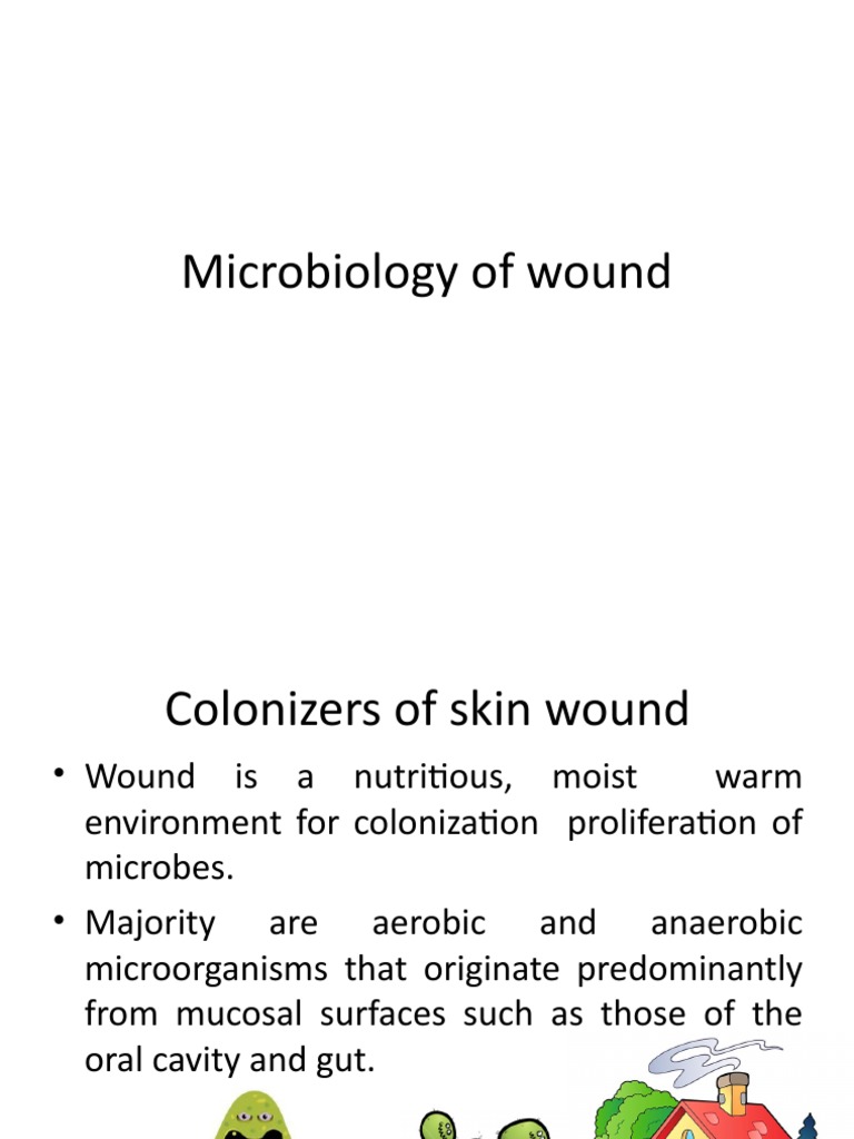 Microbiology of Wound | PDF | Wound | Infection