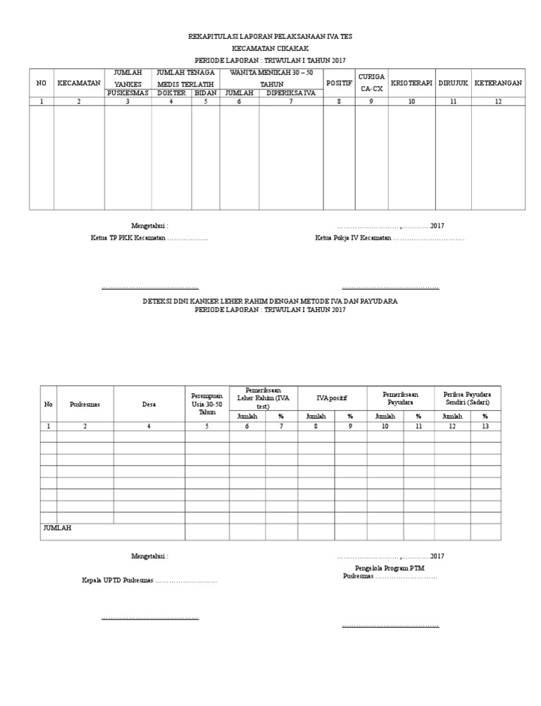 Laporan Iva Test | PDF