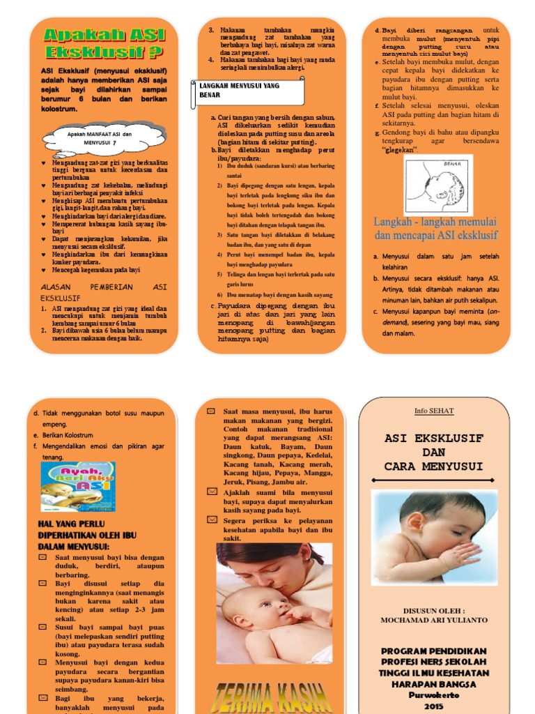 Leaflet Asi Eksklusif | PDF