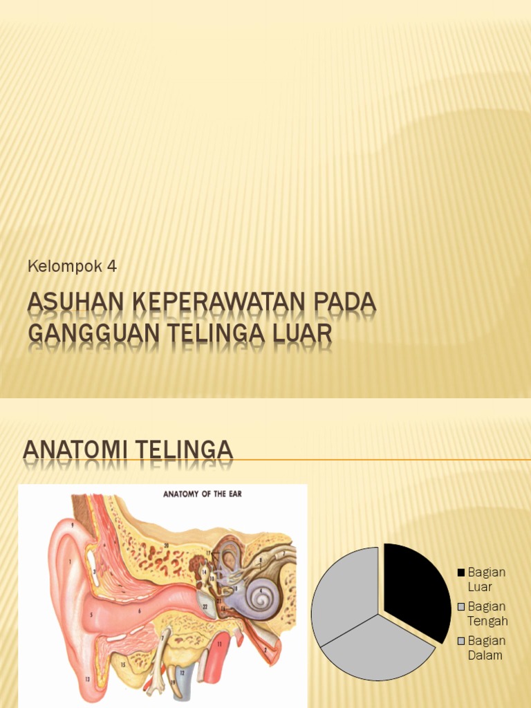 Gangguan Kelainan Telinga | PDF