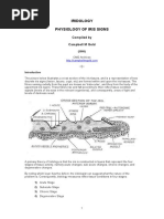 OFRAS Patient Safety | PDF | Clinical Trial | Obstetrics