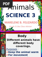 Understanding Animal Coverings | PDF | Feather | Skin