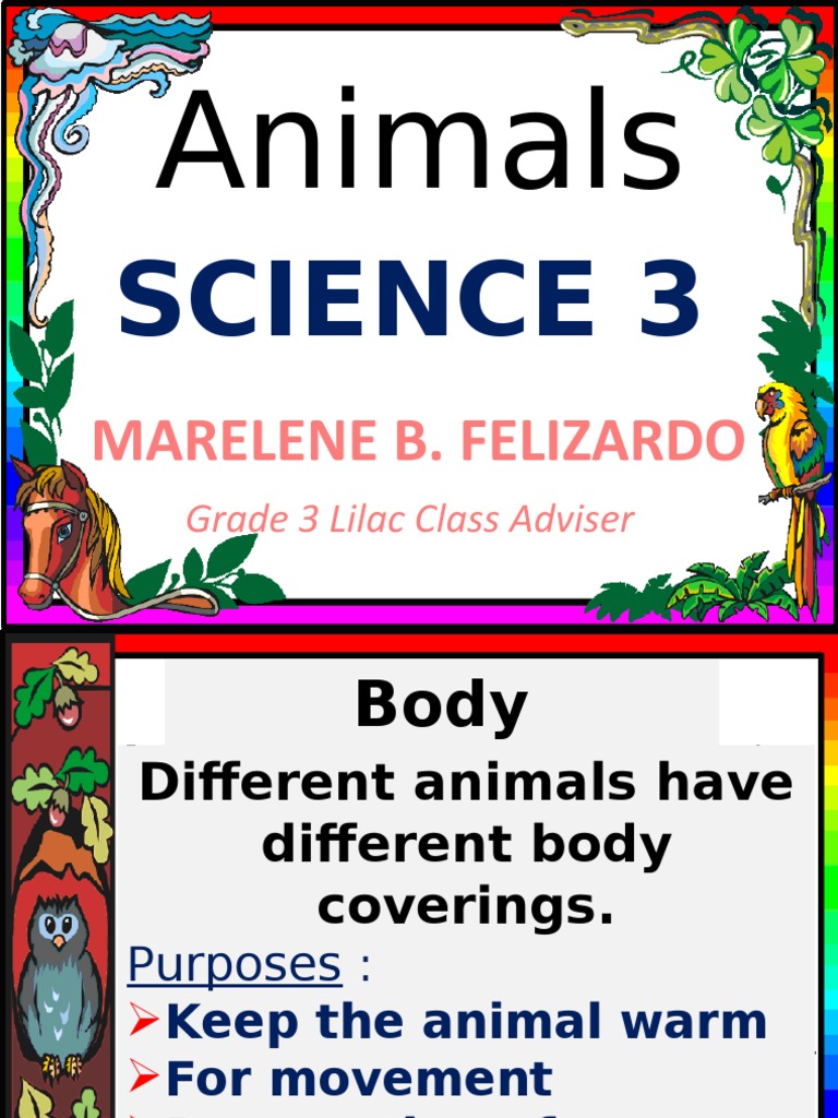 Animal Body Coverings Explained | PDF | Organisms | Nature