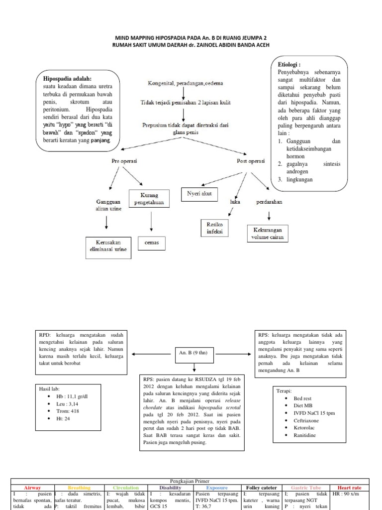 Mind Mapping Hipospadia Pada An | PDF