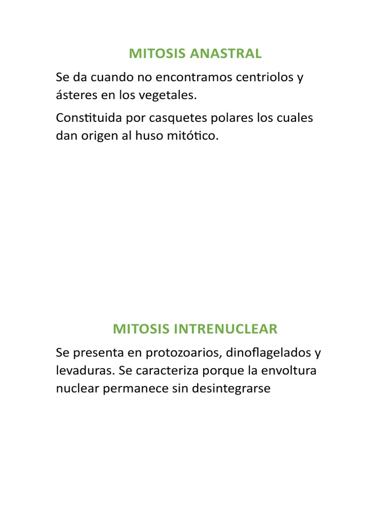 Mitosis Anastral | PDF