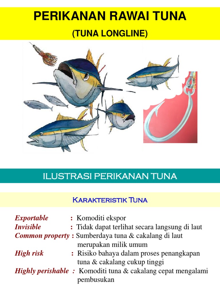 Perikanan Tuna dengan Longline | PDF