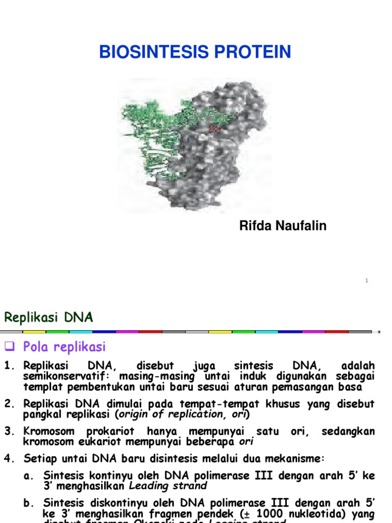 Biosintesis Protein | PDF