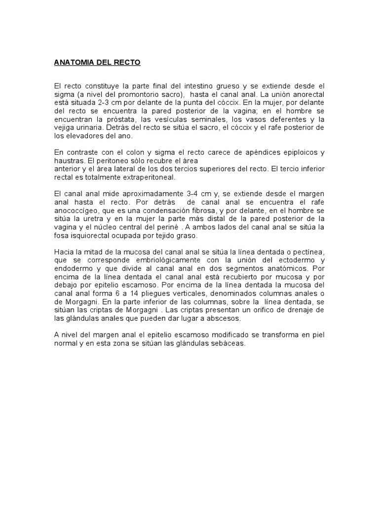 Anatomia Del Recto | Descargar gratis PDF | Hemorroides | Recto