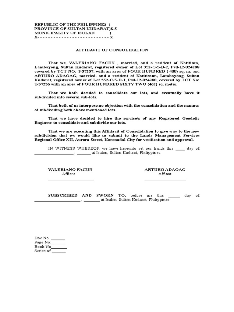 Affidavit of Consolidation | PDF