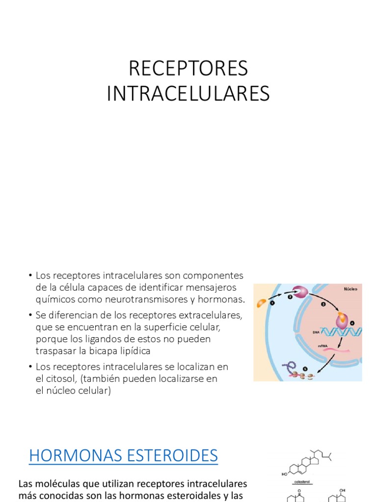 RECEPTORES INTRACELULARES