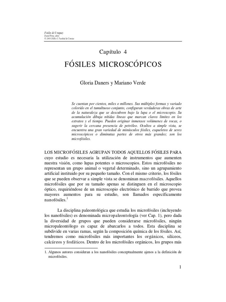 Capítulo Microfósiles | PDF | Fósil | Esponja