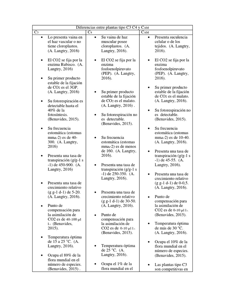 Diferencias Entre Plantas Tipo C3 C4 y CAM | Ciencias fisicas | Ciencia