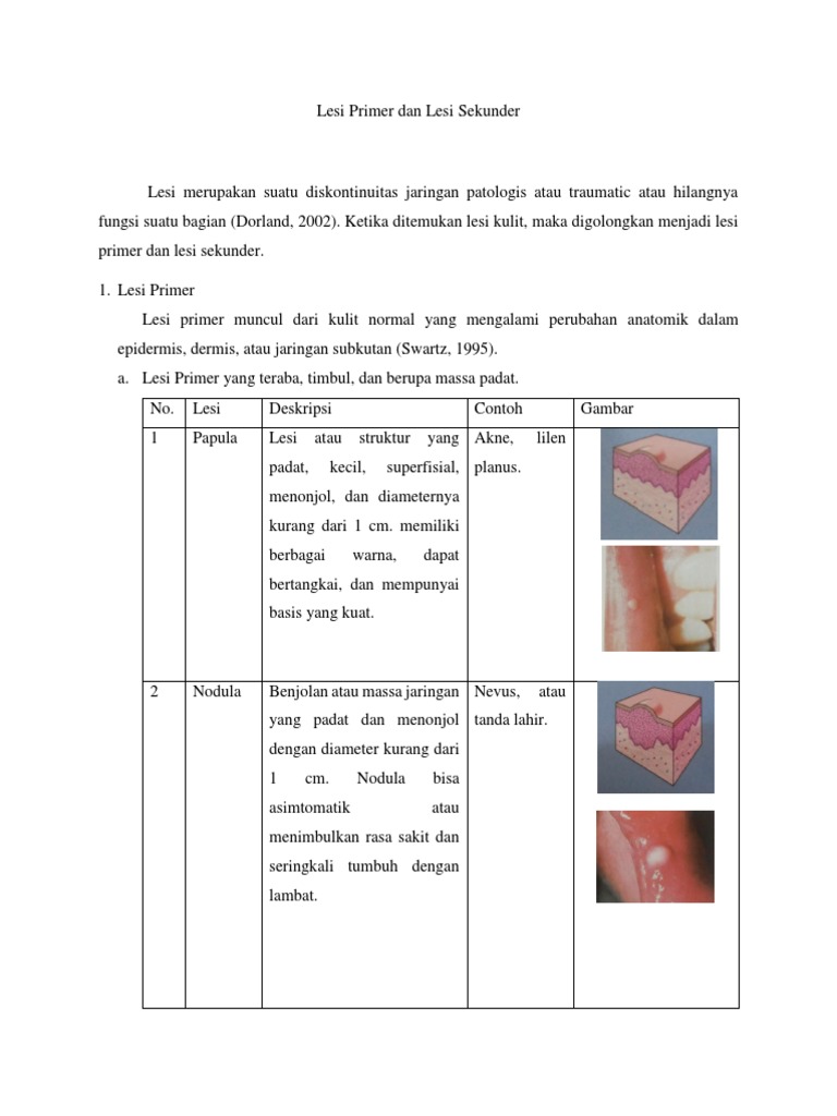 Lesi Primer Dan Lesi Sekunder | PDF