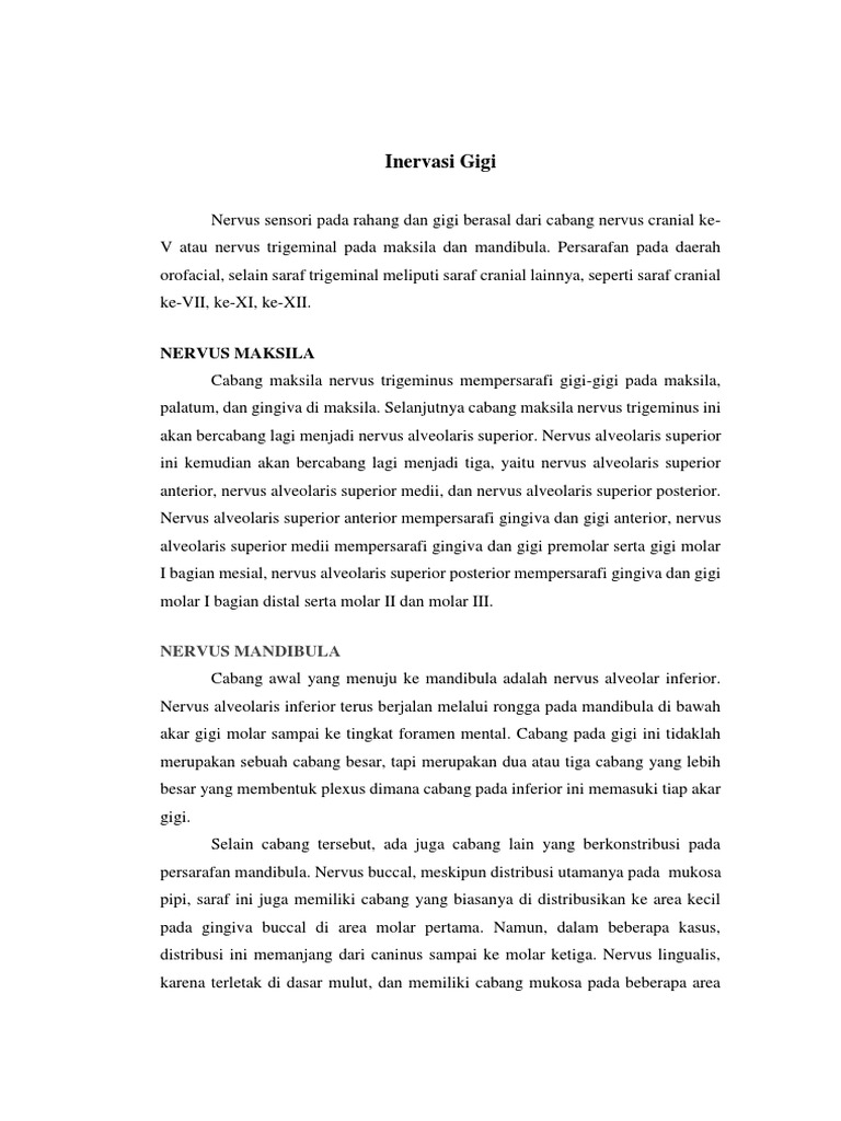 Inervasi Gigi dan Saraf Alveolaris | PDF