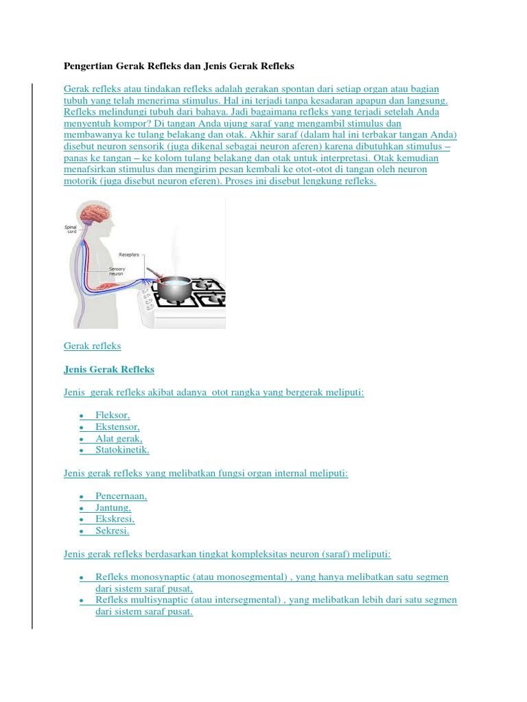 Pengertian Gerak Refleks Dan Jenis Gerak Refleks | PDF | Pengembangan ...