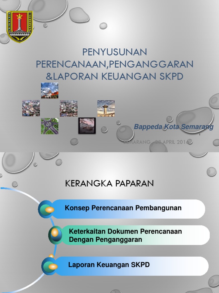 Penyusunan Perencanaan, Penganggaran &laporan Keuangan SKPD (Bappeda) | PDF