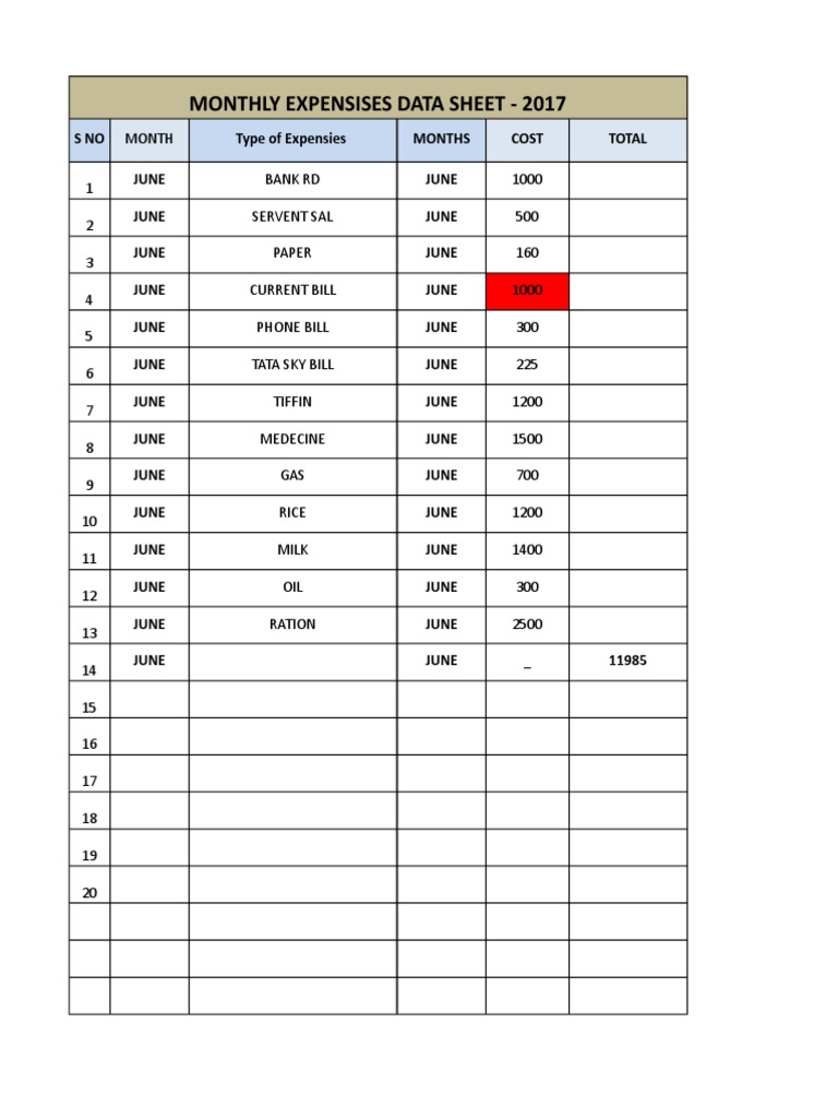 Monthly Expensises Data Sheet - 2017 | PDF