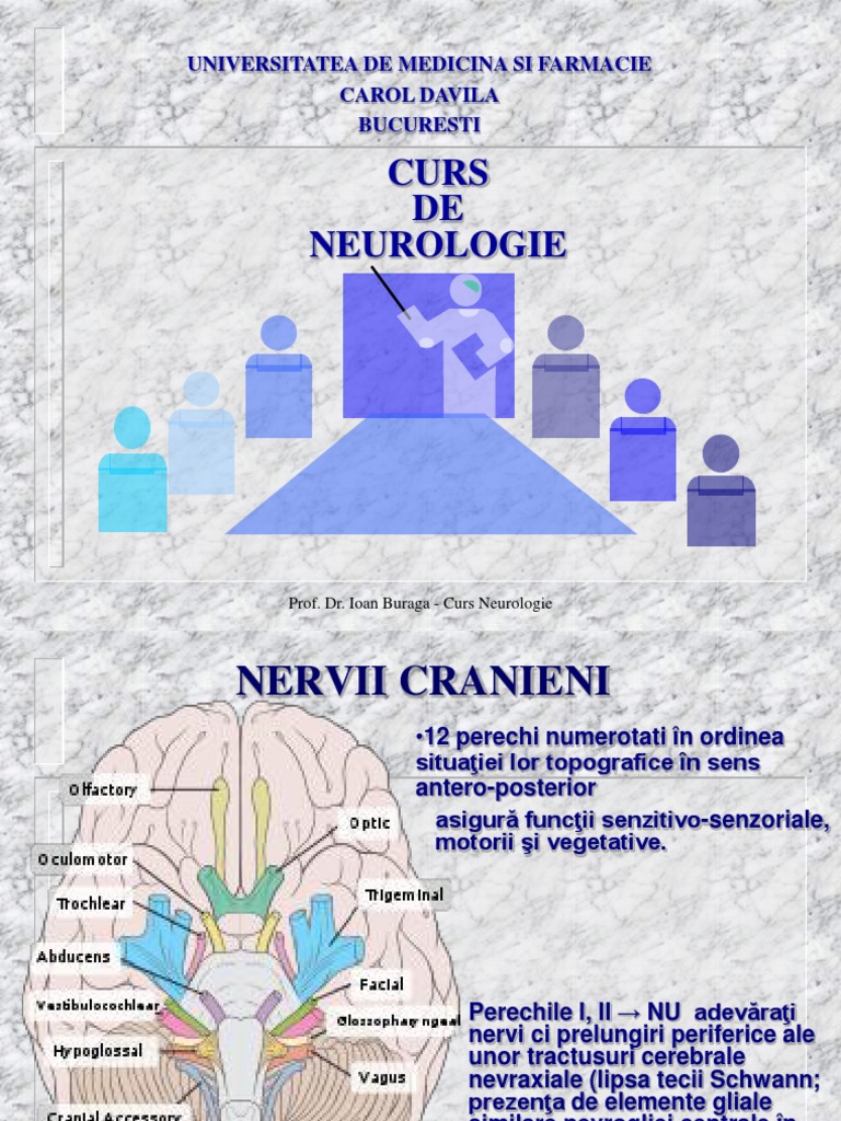 Nervii Cranieni