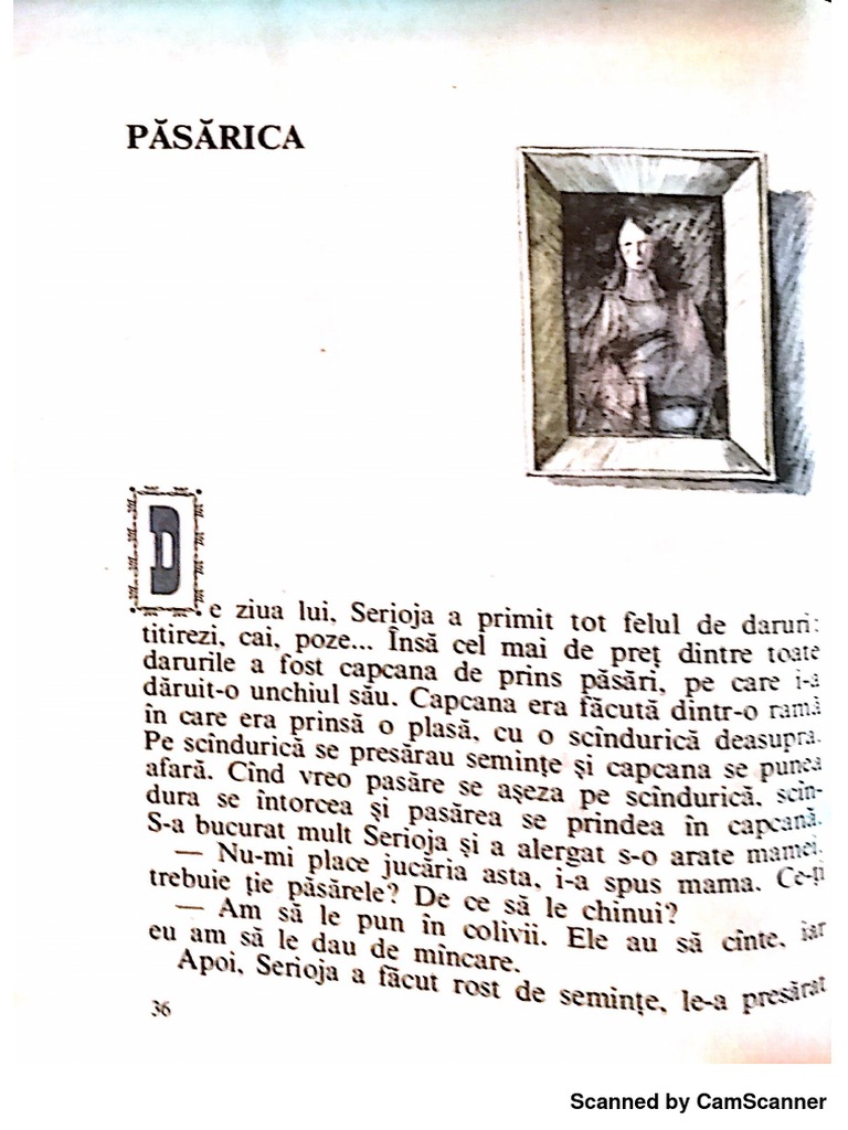 Tolstoi Pasarica 20170717151704 Pdf