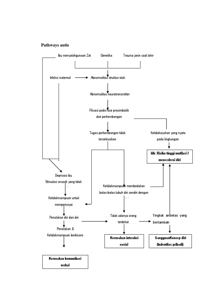 Pathways Autis | PDF