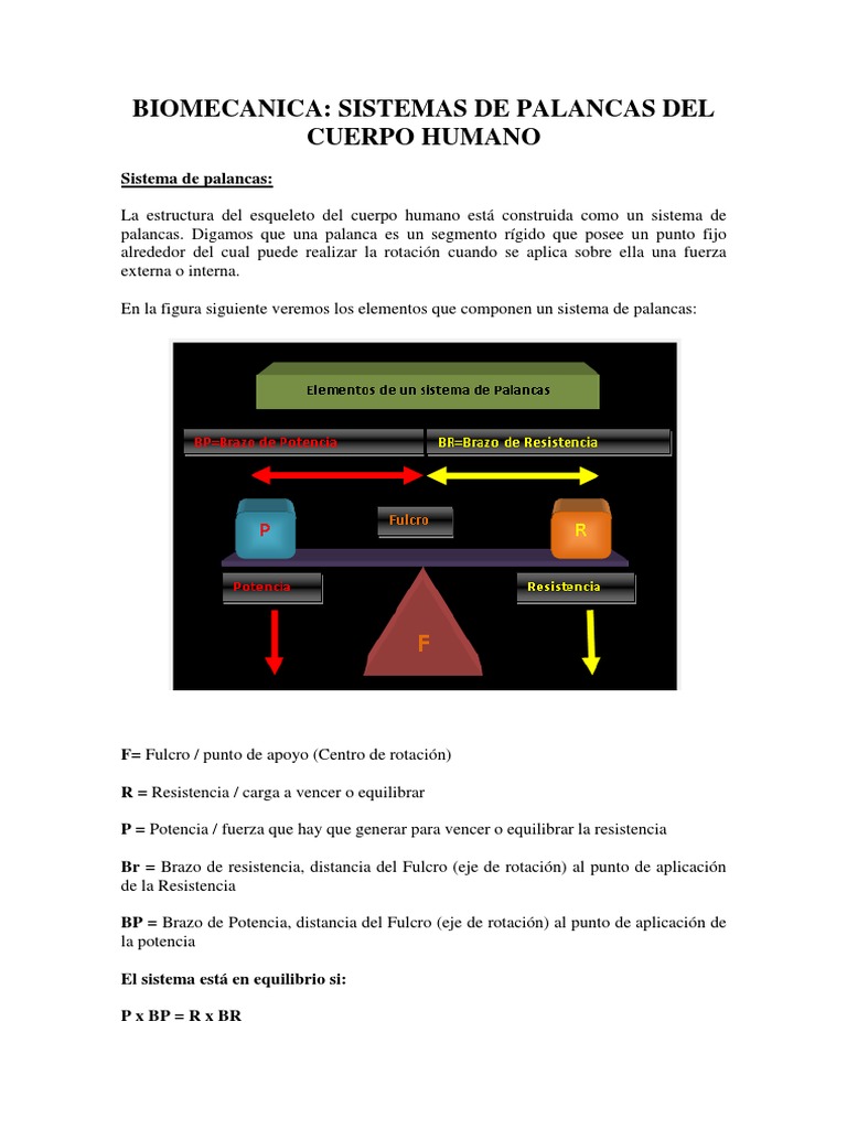 Biomecanica - Sistemas de Palancas Del Cuerpo Humano PDF | PDF ...